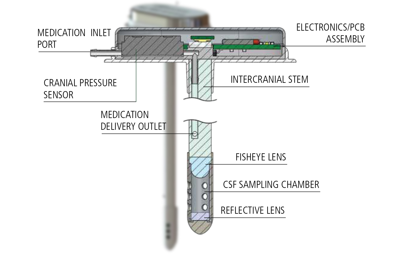 SINNAIS - Josh Shachar